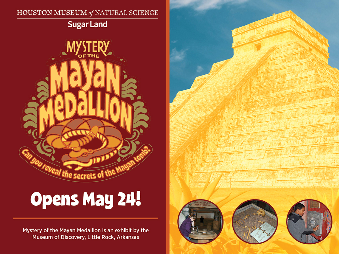 Embark on an Archaeological Adventure in Mystery of the Mayan Medallion ...